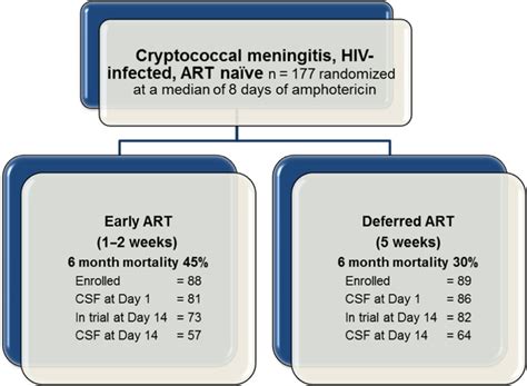 Summary Of Participants And Cerebrospinal Fluid Csf Sampling In The