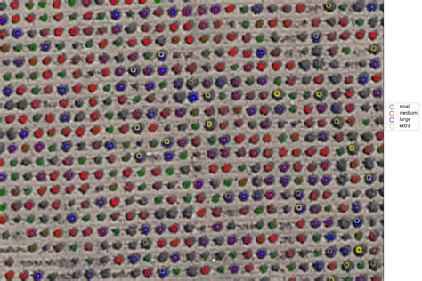 tree crop counting and classification with python and scikit image