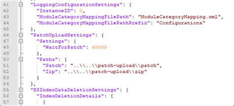updating vanguard appsettings json file