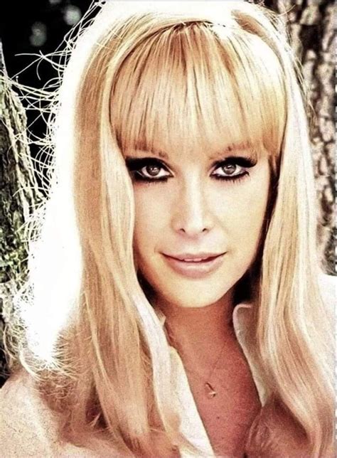 Pin By Keith Yates On Barbara Eden Barbara Eden Blonde Beauty