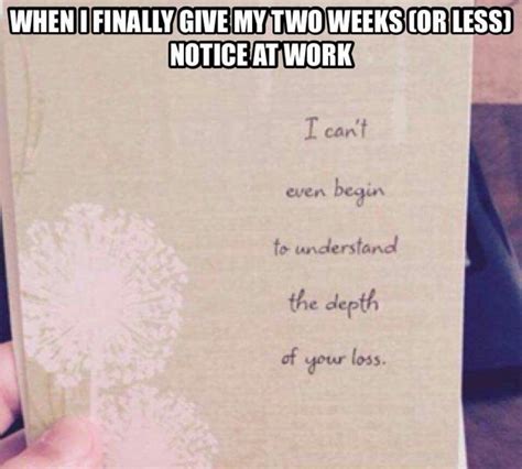 When I Finally Give My Two Weeks Notice At Work Work Memes Work