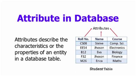 what is attribute in database management system youtube