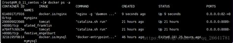 docker nginx安装与配置挂载 docker nginx 配置 csdn博客