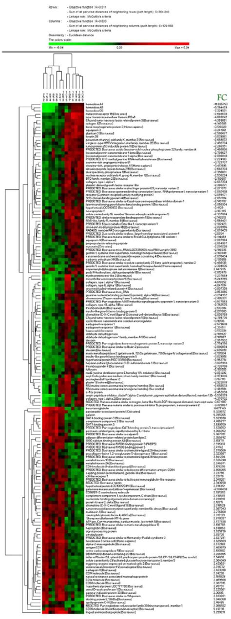 condition trees of clustering analysis the hierarchical cluster