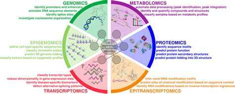 Ai Applications In Functional Genomics Computational And Structural