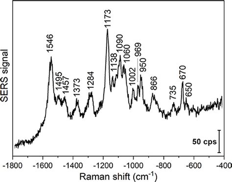 Frontiers Sers Probing Of Proteins In Gold Nanoparticle Agglomerates