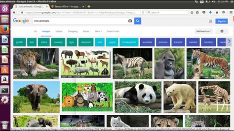 tensorflow image recognition and machine learning youtube