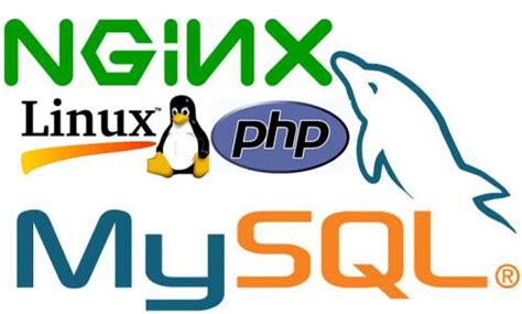 install nginx mariadb php lemp and wordpress on ubuntu