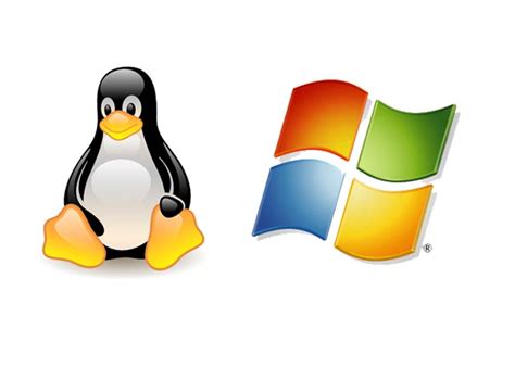 ¿quién domina en servidores windows o linux muylinux