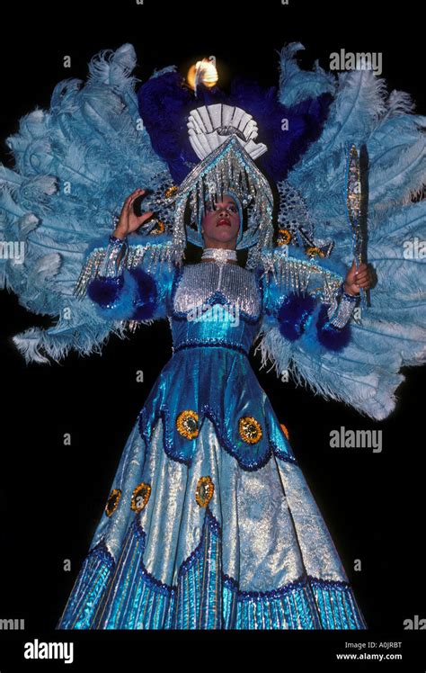 Brazilian Woman Brazilian Woman Dancer Carnival Costume Nightclub