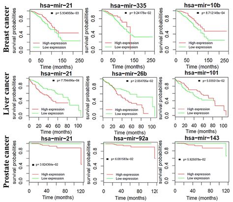 Frontiers A Systematic Way To Infer The Regulation Relations Of