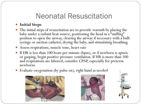 Ppt Neonatal Resuscitation Provider Powerpoint Presentation Free