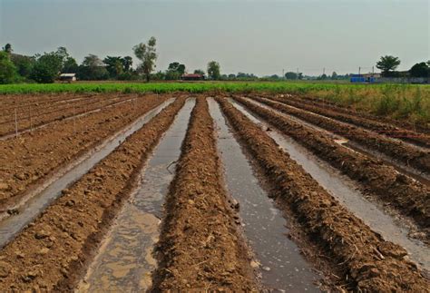5 Types Of Irrigation Systems Goulburn Valley Sprinklers And Landscaping