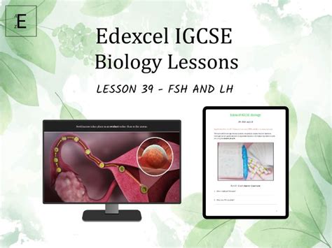 Edexcel Igcse Biology Lesson 39 Fsh And Lh Teaching Resources