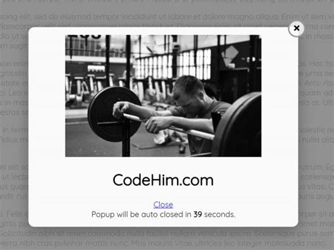 responsive filter gallery with jquery and css3 — codehim