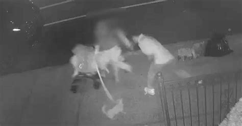 Caught On Video Man Accosts Woman In Brooklyn Sending Her And Her