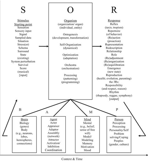 Stimulus Organism Response Model Soring To New Heights Springerlink