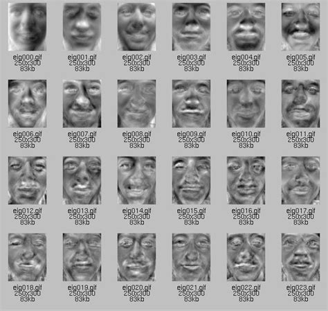 eigenfaces group