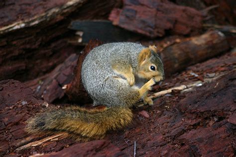 top tips for that itch you just need to scratch from our resident