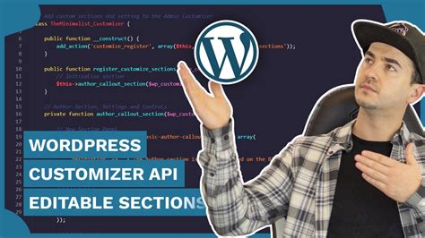 wordpress customizer api editable sections theme