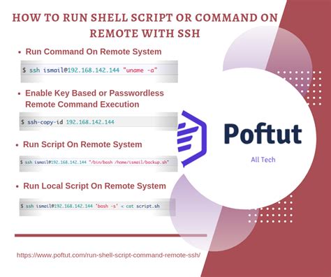 puramente ipotesi successore bash script ssh and run command pelliccia