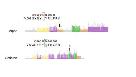 How Is Next Generation Protein Sequencing Democratizing Protein