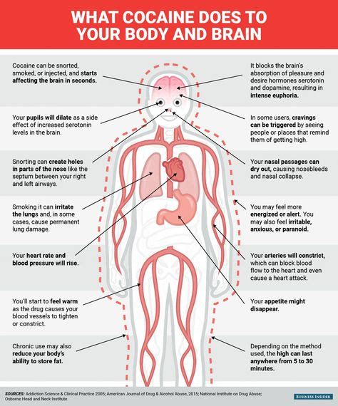 Drugs And Effects On The Body