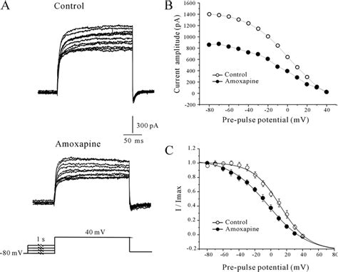 Amoxapine Alters Steady State Inactivation Of I K A I K Recorded In