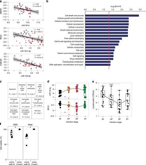 Integrative Analysis Of Mirna Mrna And Functional Annotation A Examples
