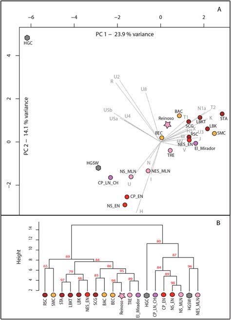 principal component analysis a and ward type hierarchical clustering