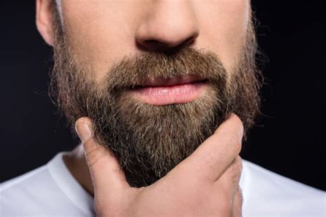 How To Soften Your Beard 6 Step By Step Guide Bald And Beards