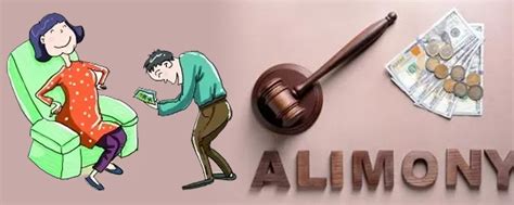 Capable Husband Cant Seek Alimony From Wife