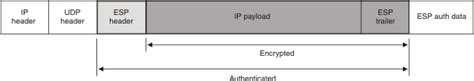 udp encapsulation of ipsec esp packets