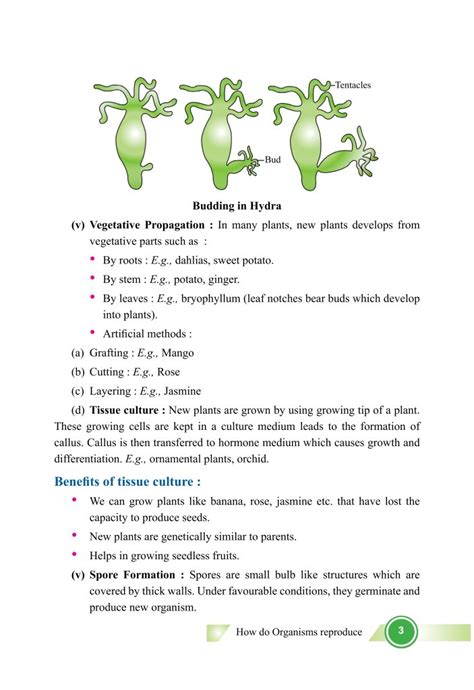 Cbse Class 10 Science Chapter 8 How Do Organisms Repr