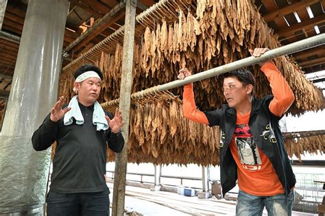 [写真] 65ページ目 「気候も年々極端になって環境の厳しさが増しているのは感じています。でも…」坂上忍が見た“日本の農業の片隅” 文春オンライン