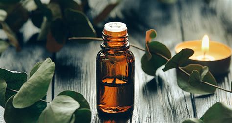 Best Essential Oils For Sleep And How To Incorporate Them Into Your