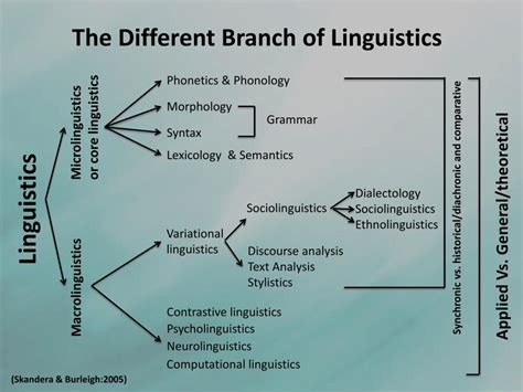 Ppt Phonetics And Phonology Powerpoint Presentation Free Download Id