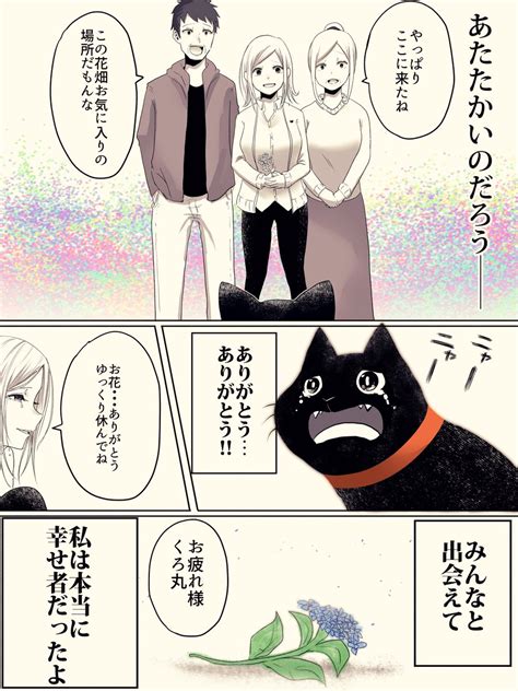 捨て猫が人間から愛情をもらう話 猫の日