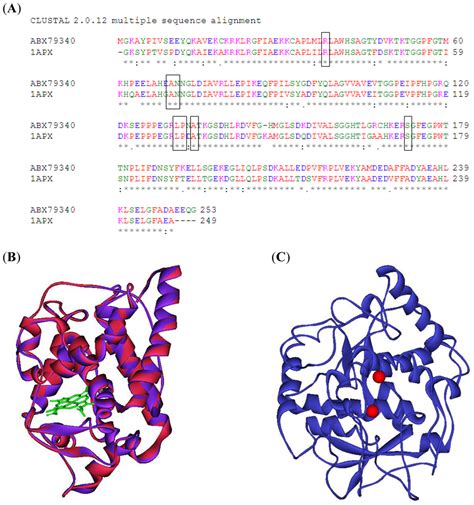 Ijms Free Full Text Molecular Modeling Of Peroxidase And Polyphenol