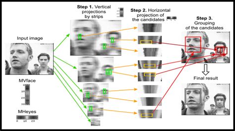 face integral projections ginesgm