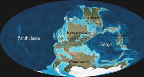 Paleogeographic Reconstruction Of Pangea And Major Oceanic Areas At The
