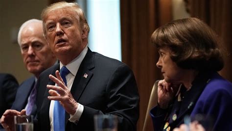 Fact Check Trump Made Comment About Taking Guns Without Due Process