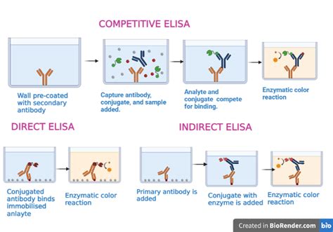Elisa Definition Principle Procedure Types Steps Applications