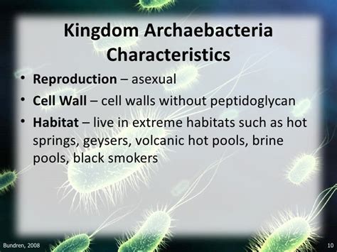 Archaebacteria Nutrition And Reproduction Blog Dandk