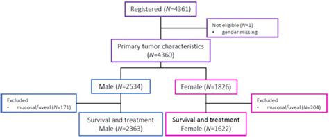Cancers Free Full Text Sex Based Differences In Treatment With