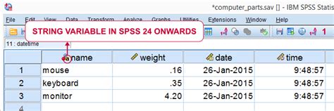 Spss Variable Types And Formats