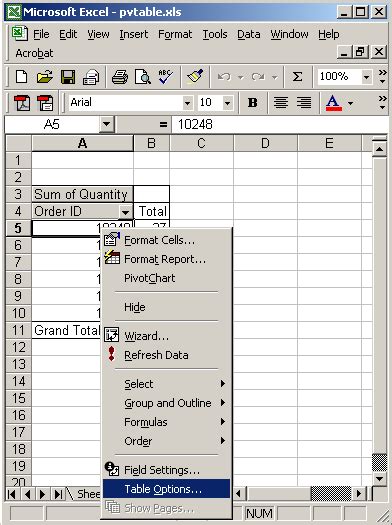 ms excel 2003 how to handle errors in a pivot table