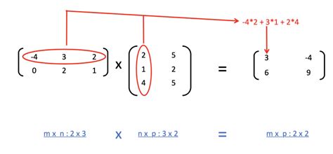 beginner s introduction to matrices