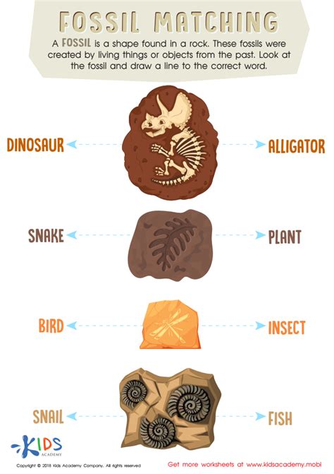 Free Printable Fossil Worksheets