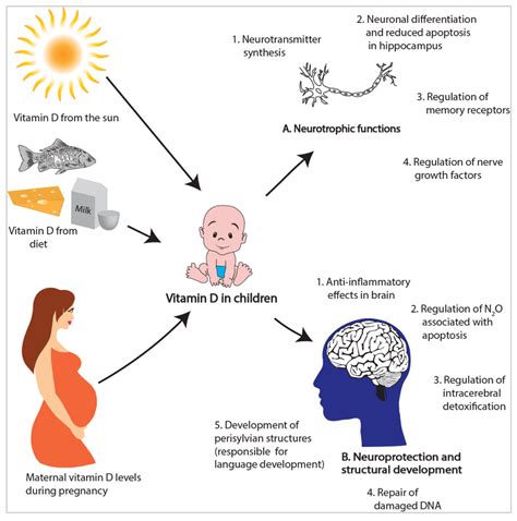 Effects Of Vitamin D Deficiency On Wellcome Open Research